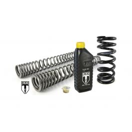 BLACK-T progressive replacement springs for Kawasaki Z 1100, ZEPHYR ...